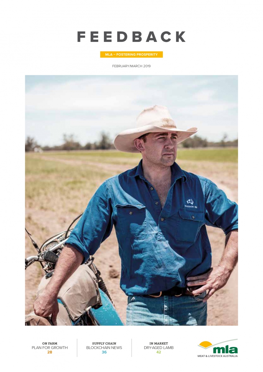 Feedback Magazine February/March 2019